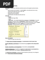 KMU 1st Year BDS Syllabus by TMM | PDF | Hemoglobin | Anemia