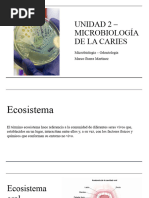 Estadíos y Grados de La Periodontitis | PDF | Ciencia y matemáticas