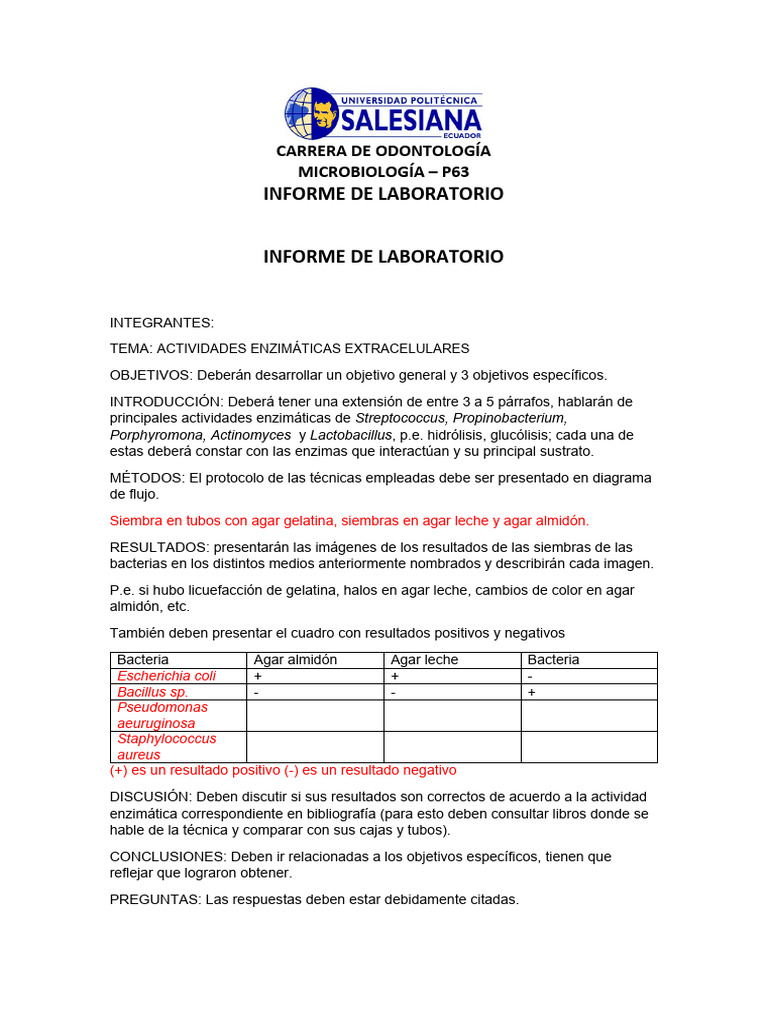 Informe Laboratorio P4 P63 | PDF