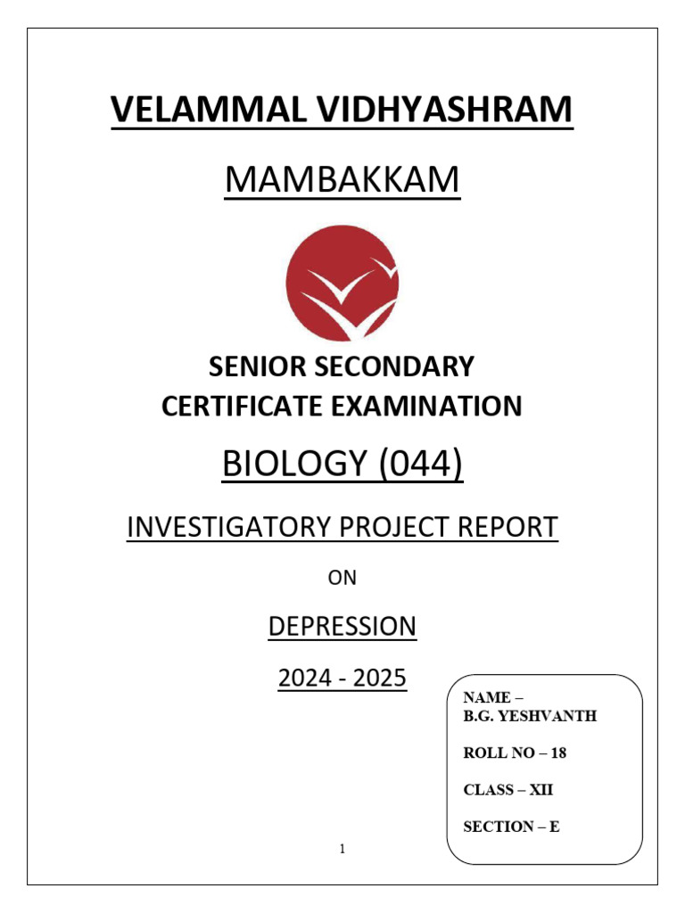 Yeshvanth Depression | PDF | Major Depressive Disorder | Grief