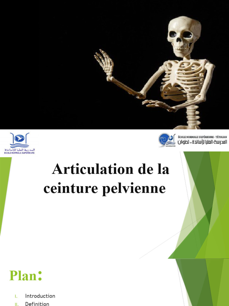 Anatomie Presentation1 | PDF | Articulation (anatomie) | Colonne vertébrale