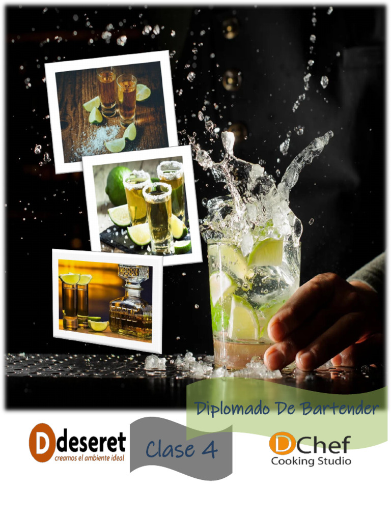 Clase 4 Bartender | PDF