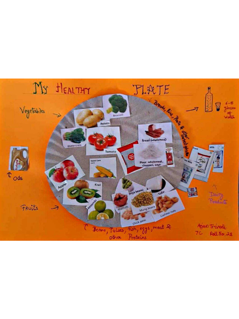 My Health Plate Activity | PDF
