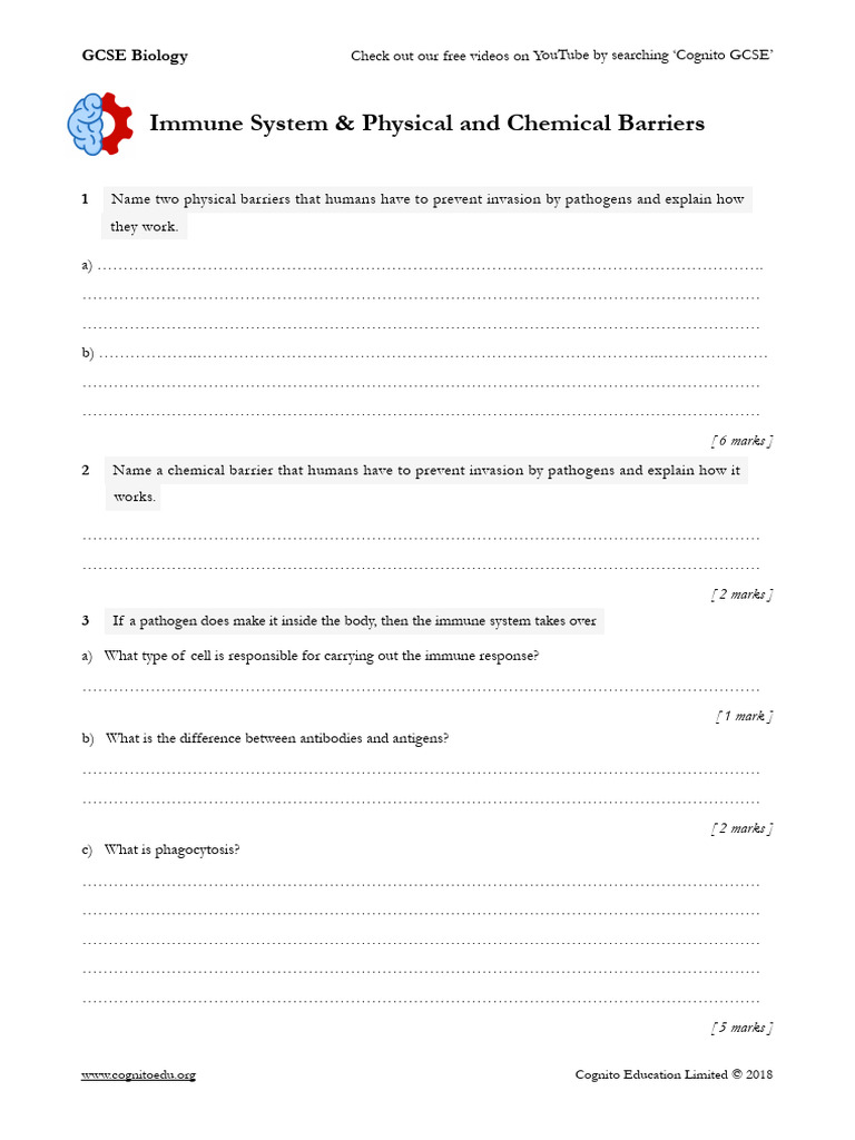 GCSE Biology Immune System Defences Against Pathogens Worksheet | PDF ...