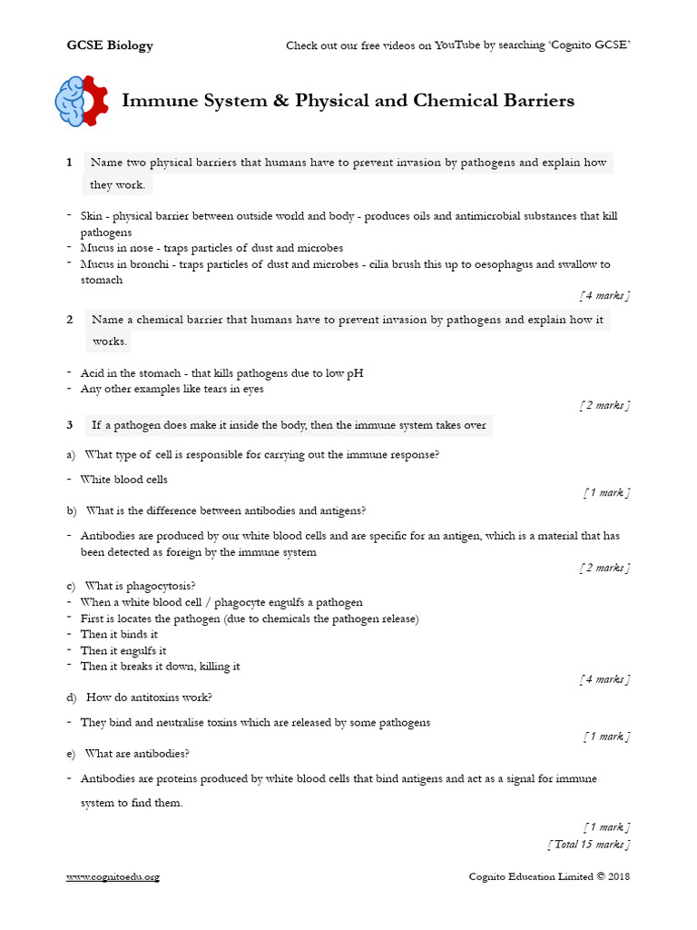 GCSE Biology: Immune System Basics | PDF | Immune System | Antibody