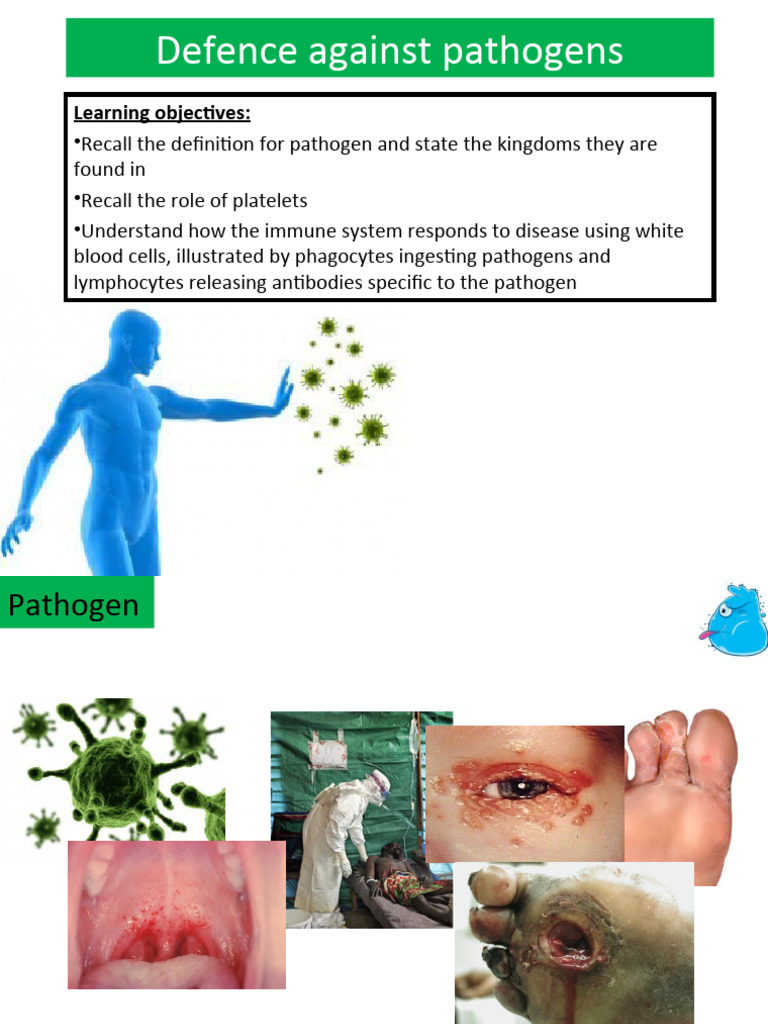 Defence Against Pathogens | PDF | Phagocyte | Immune System