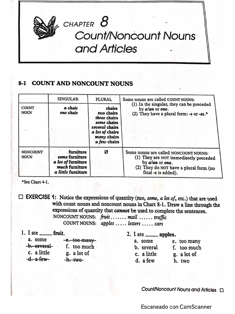 01 Count-Noncount Nouns and Articles | PDF