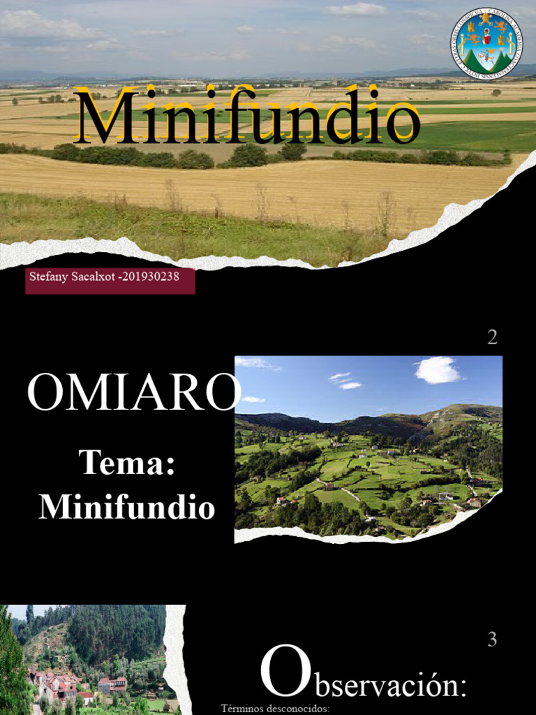 Minifundio - OMIARO | PDF | Minifundio | Economias