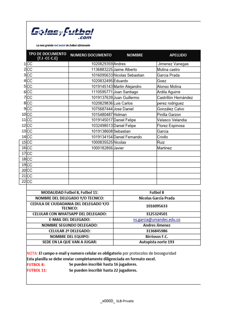 PLANILLA DE JUGADORES FUT 8 Y 11 GOLES Y FUTBOL AÑO 2.023-2 Birriosos | PDF