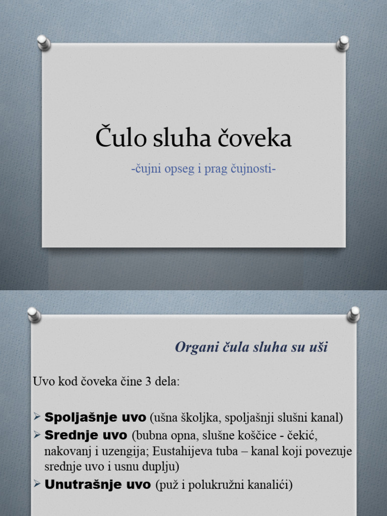 Čulo Sluha Čovekaa | PDF