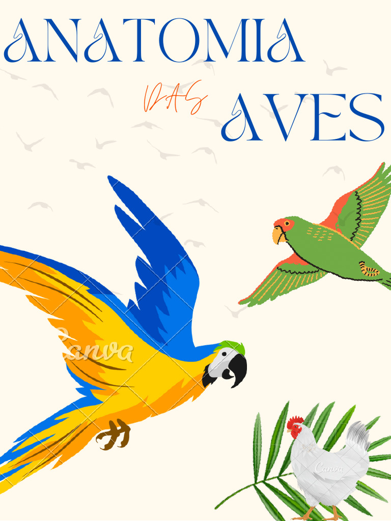 Anatomia Das Aves | PDF | Trato gastrointestinal | Pena (pássaro)