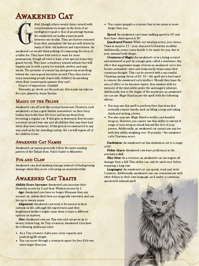 Awakened Cats - The Homebrewery | PDF | Cats