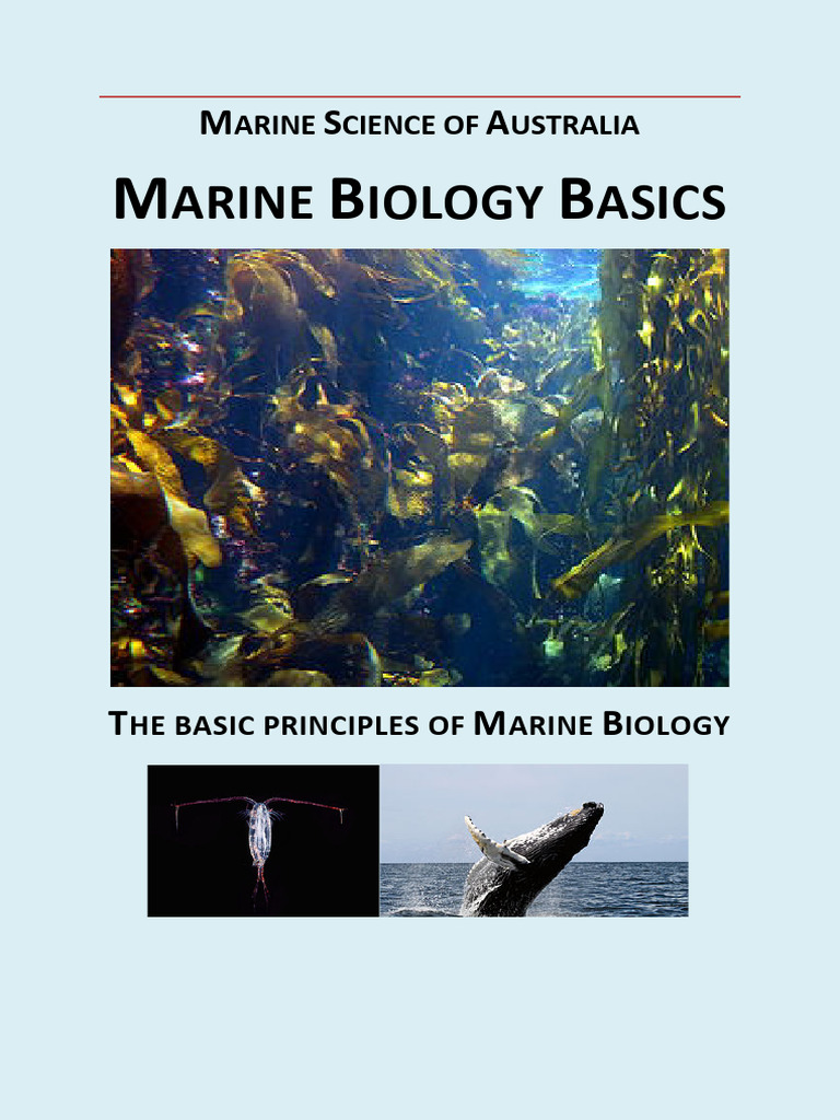 Marine Biology Basics Ebook | PDF | Plankton | Photosynthesis
