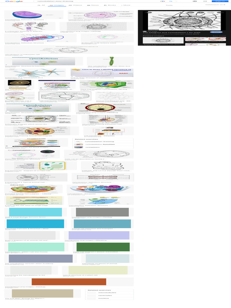 Cytoskeleton Easy Drawing - Google Search | PDF | Cell (Biology ...