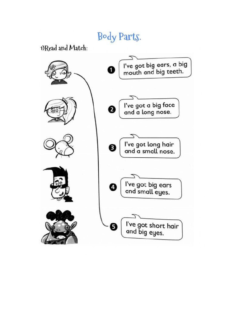 Body Parts and Describing Worksheet | PDF