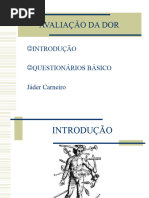 Escalas de Dor Lanns e Eva | PDF | Dor | Sentidos