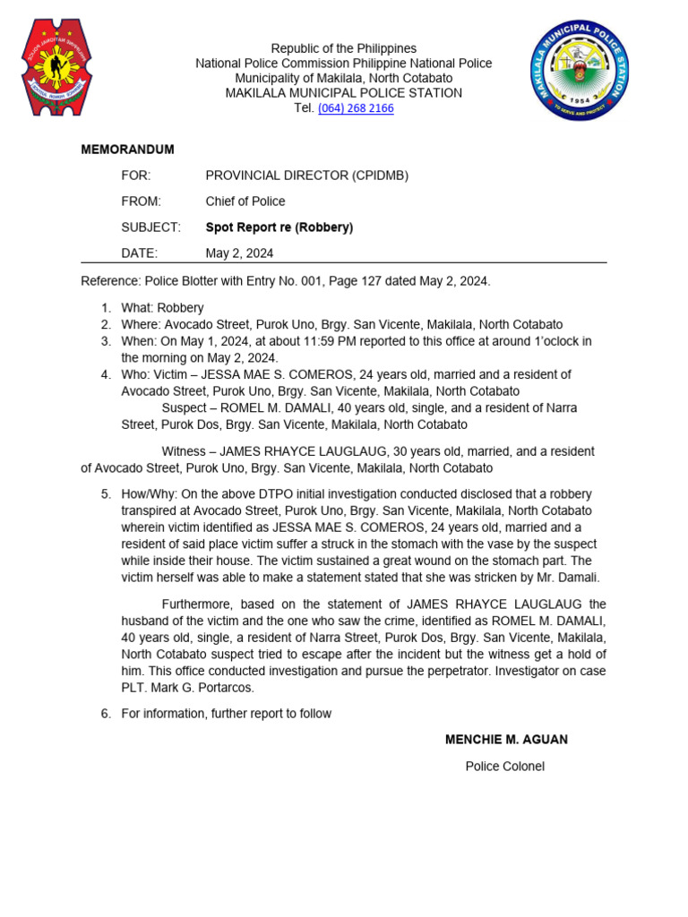 Spot Progress Final Report | Download Free PDF | Crime & Violence | Justice