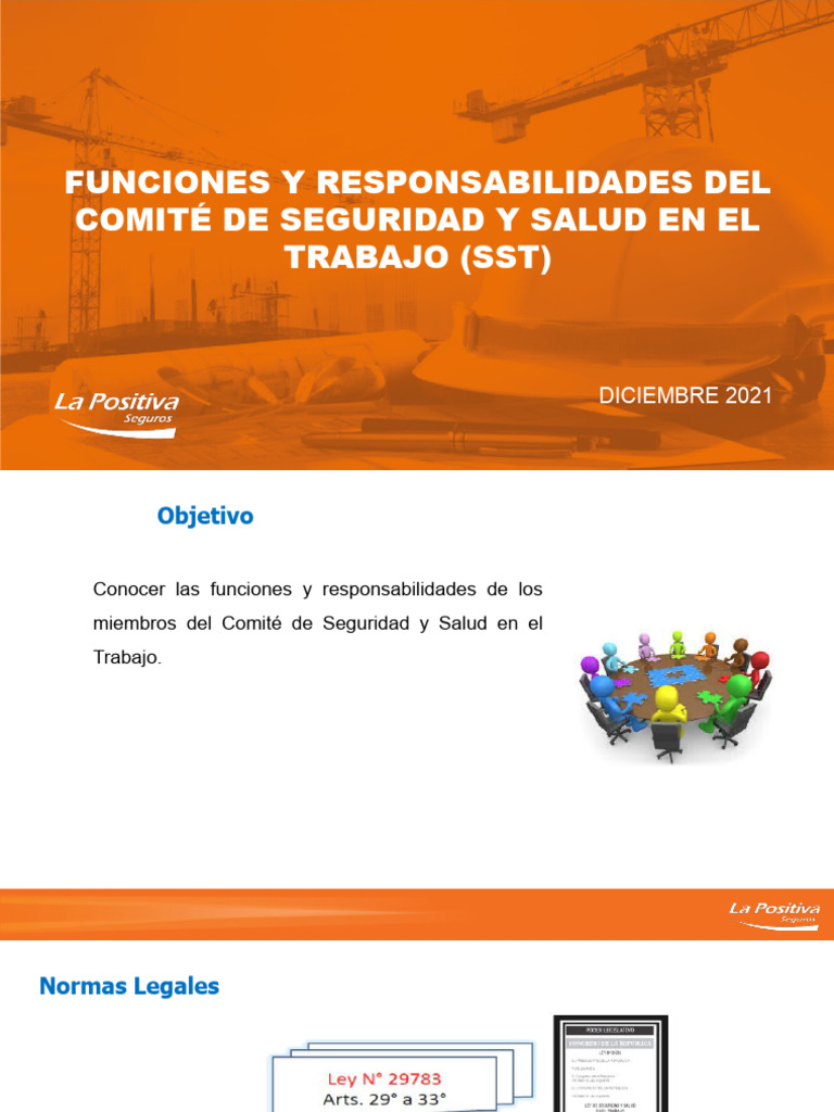 Funciones y Responsabilidades Del Comité de SST. | PDF | Seguridad y salud ocupacional | La ...