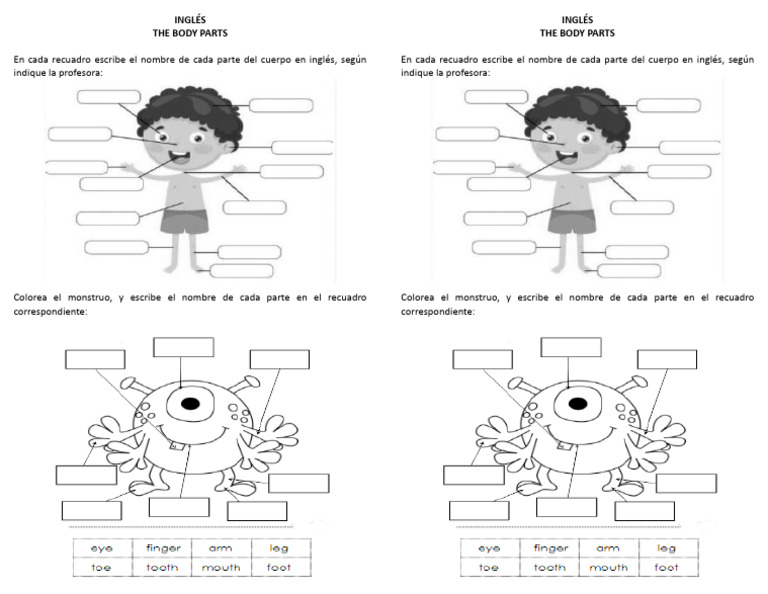 Primaria Actividades - The Body Parts | PDF | Artes del Lenguaje y ...
