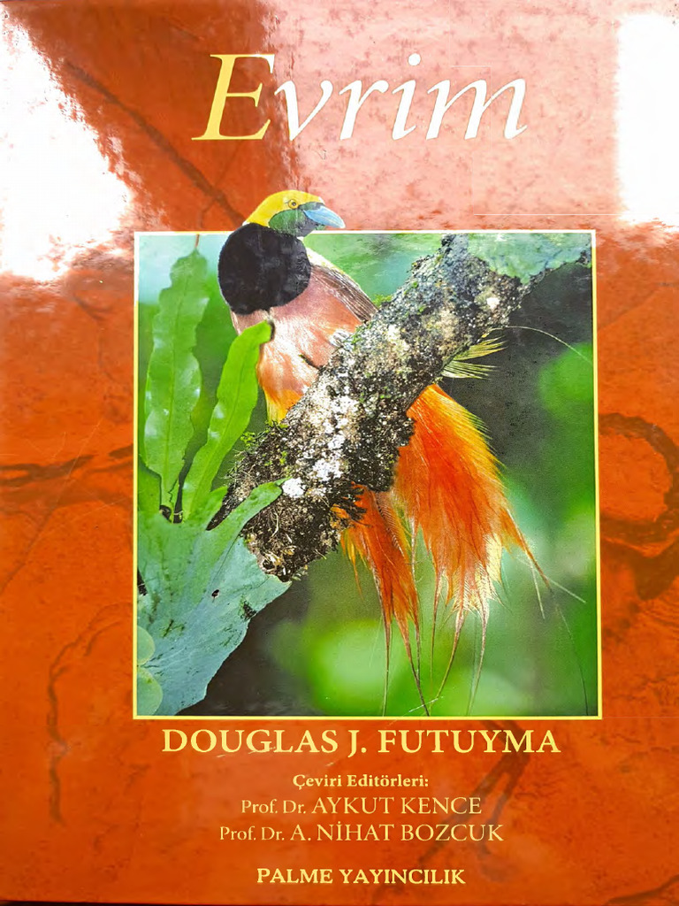 Evrim | PDF