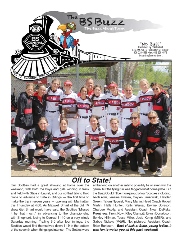 BS Buzz | Download Free PDF | Beef | Steak