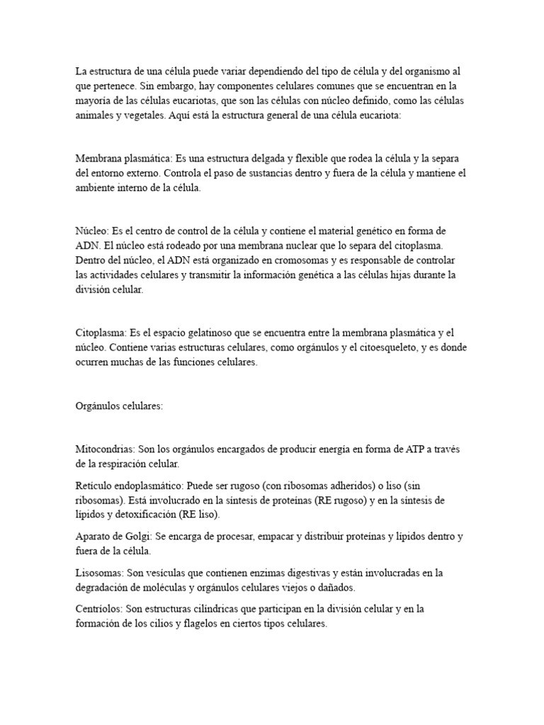Celular | PDF | Biología Celular) | Citoplasma