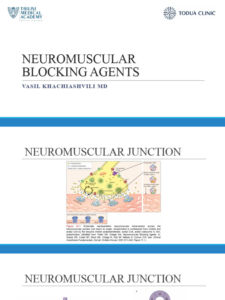 Neuromuscular Blocking Agents Overview | PDF | Neuromuscular Junction ...