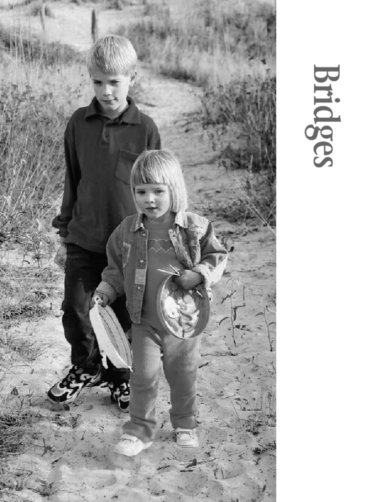 Bridges | PDF | Substance Abuse | Attention Deficit Hyperactivity Disorder