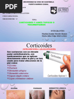 BACTICORT COMPLEX Crema VTA - J | PDF | Corticosteroides ...