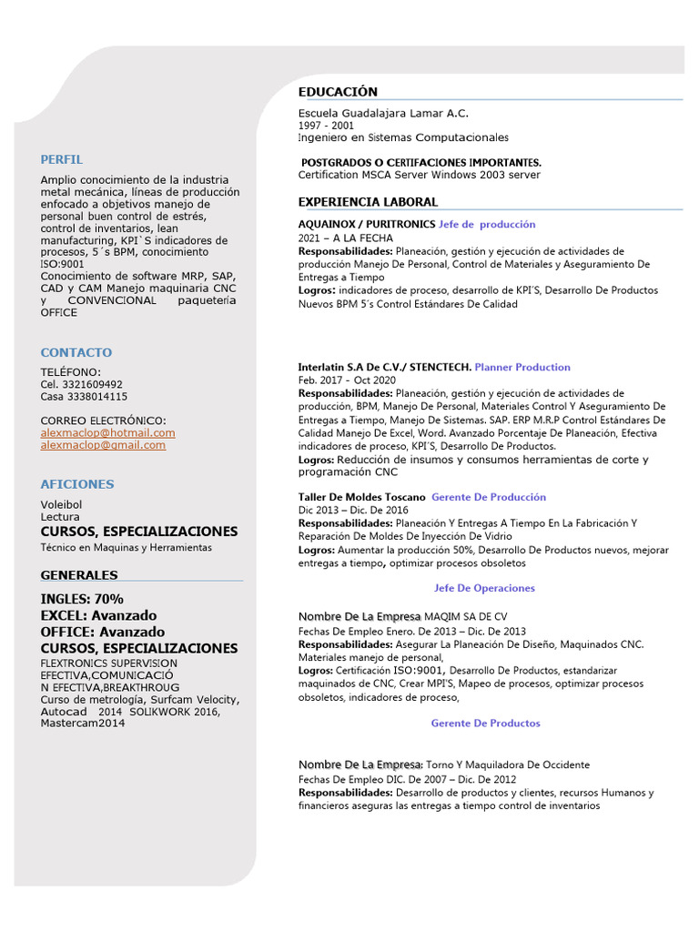 Curriculum Alejandro Macias123 | Descargar gratis PDF | Business | Informática