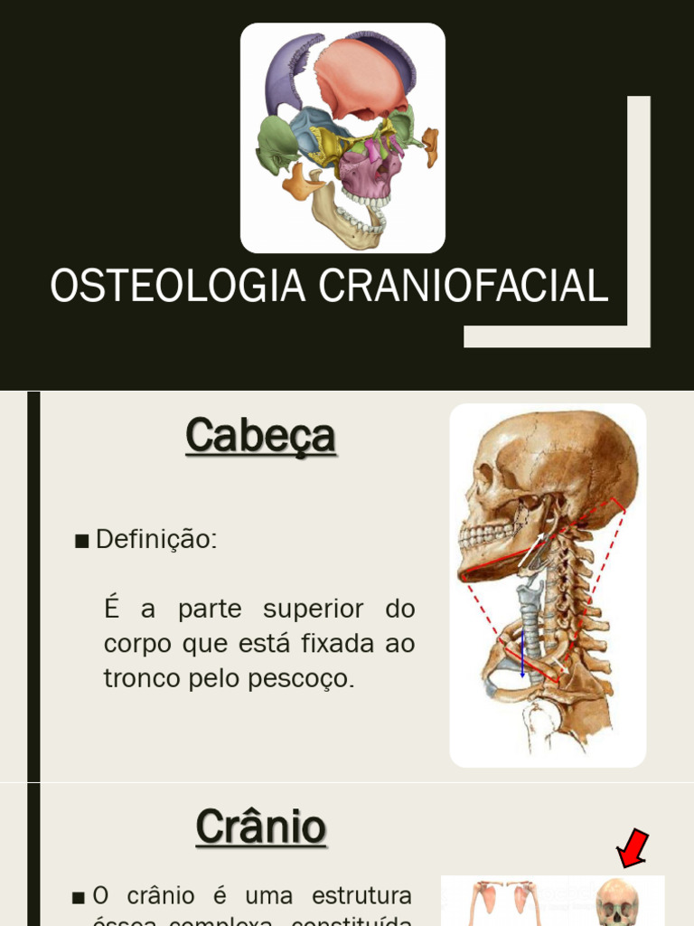 Aula Ossos Do Crânio | Download grátis PDF | Crânio | Anatomia