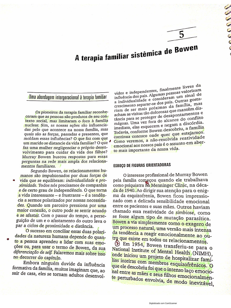 A Terapia Familiar Sistêmica de Bowen | PDF