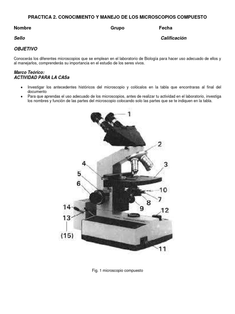 Practica Microscopio.-1 | Descargar gratis PDF | Microscopio | Laboratorios