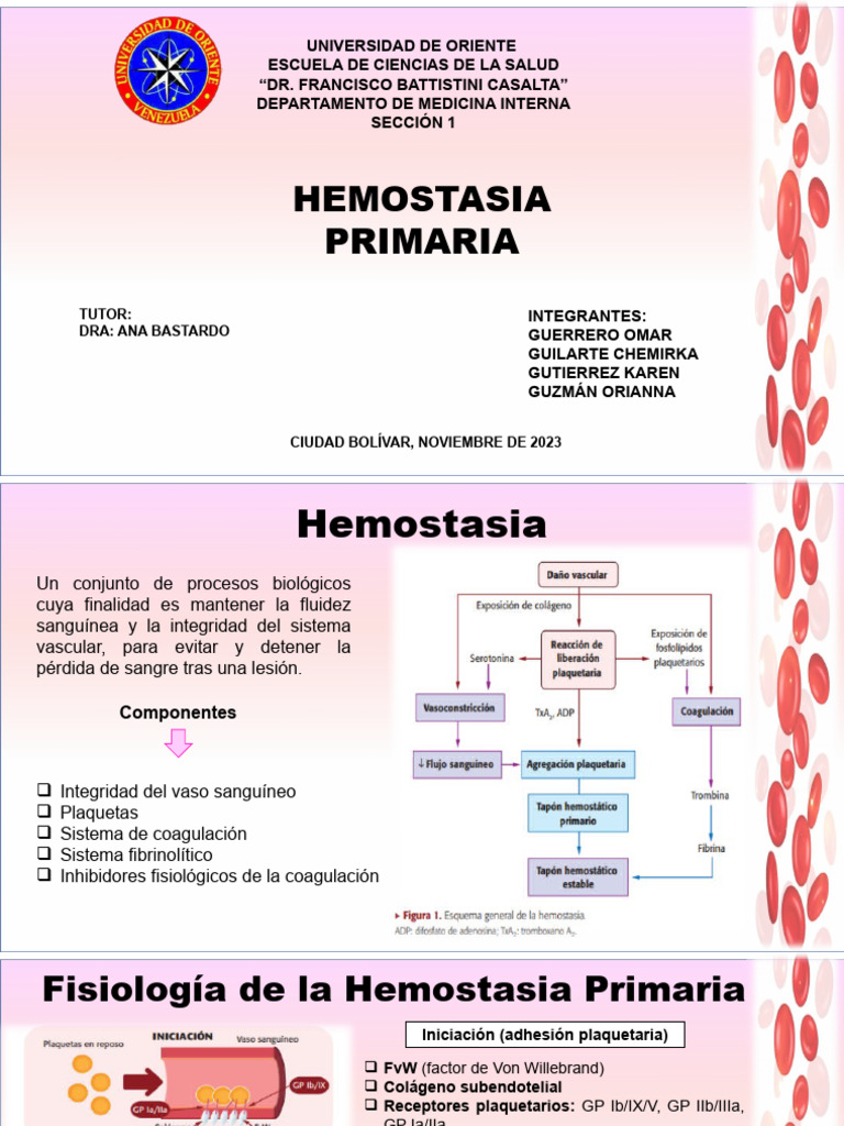 Hemostasia Primaria | PDF | Plaqueta | Hemostasia