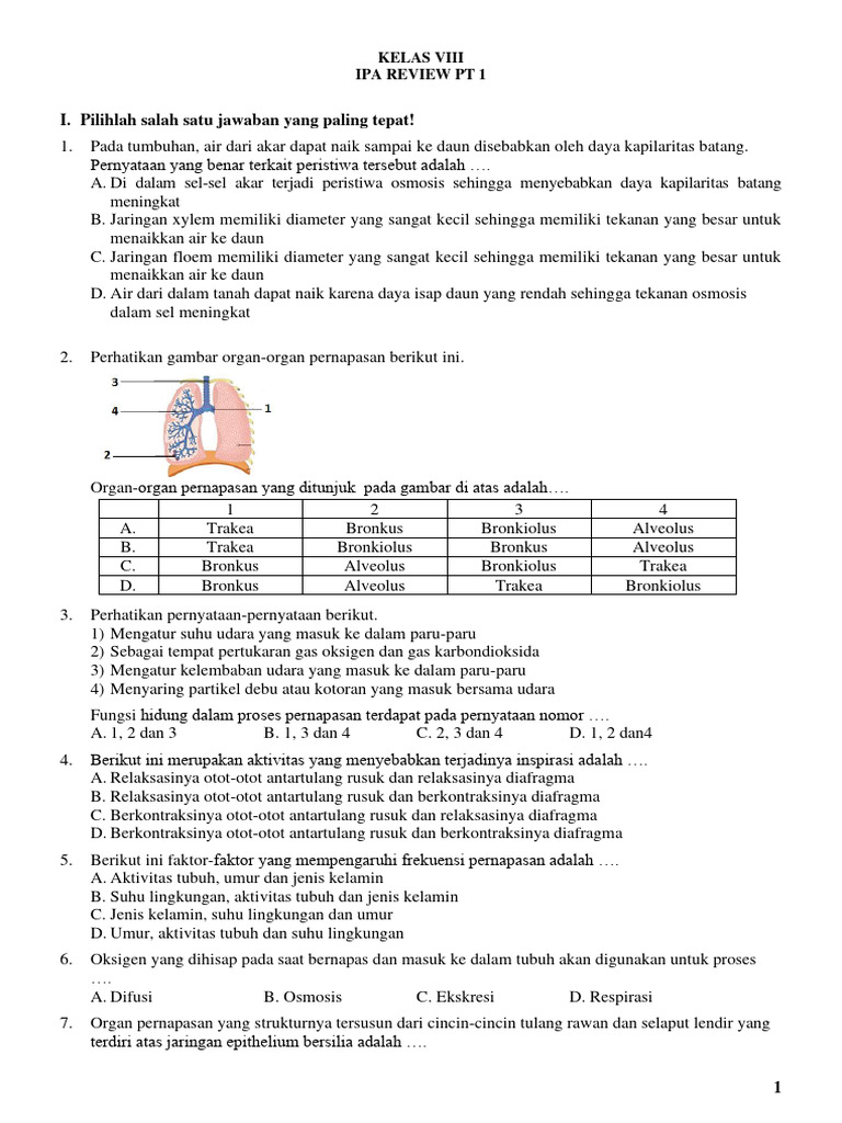 (Rangkap 8) Kelas Viii Ipa Review PT 1 | PDF