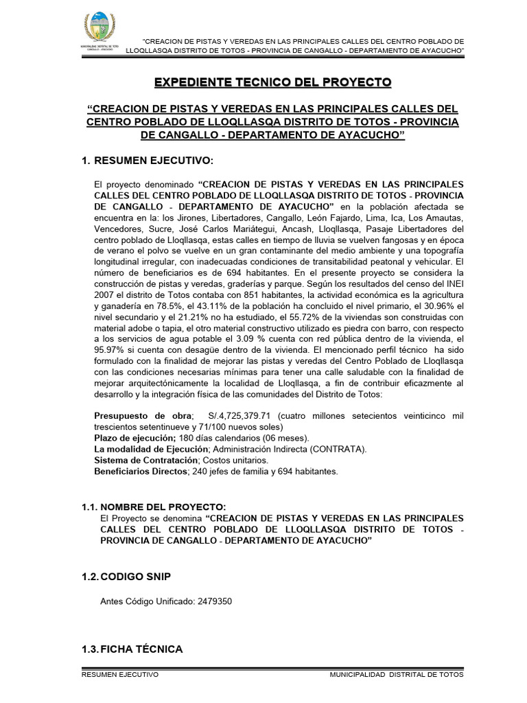 Resumen Ejecutivo | PDF | Ingeniería de Edificación | Albañilería