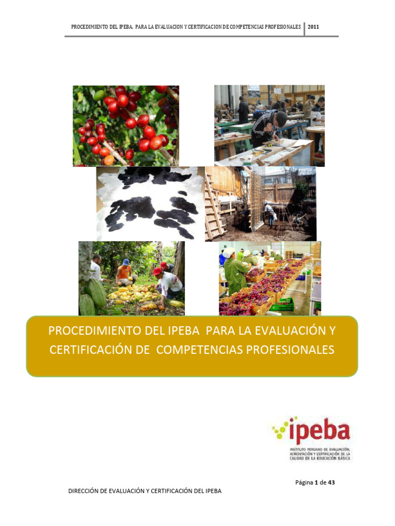 Evaluación y Certificación IPEBA 2011 | PDF | Evaluación | Perú