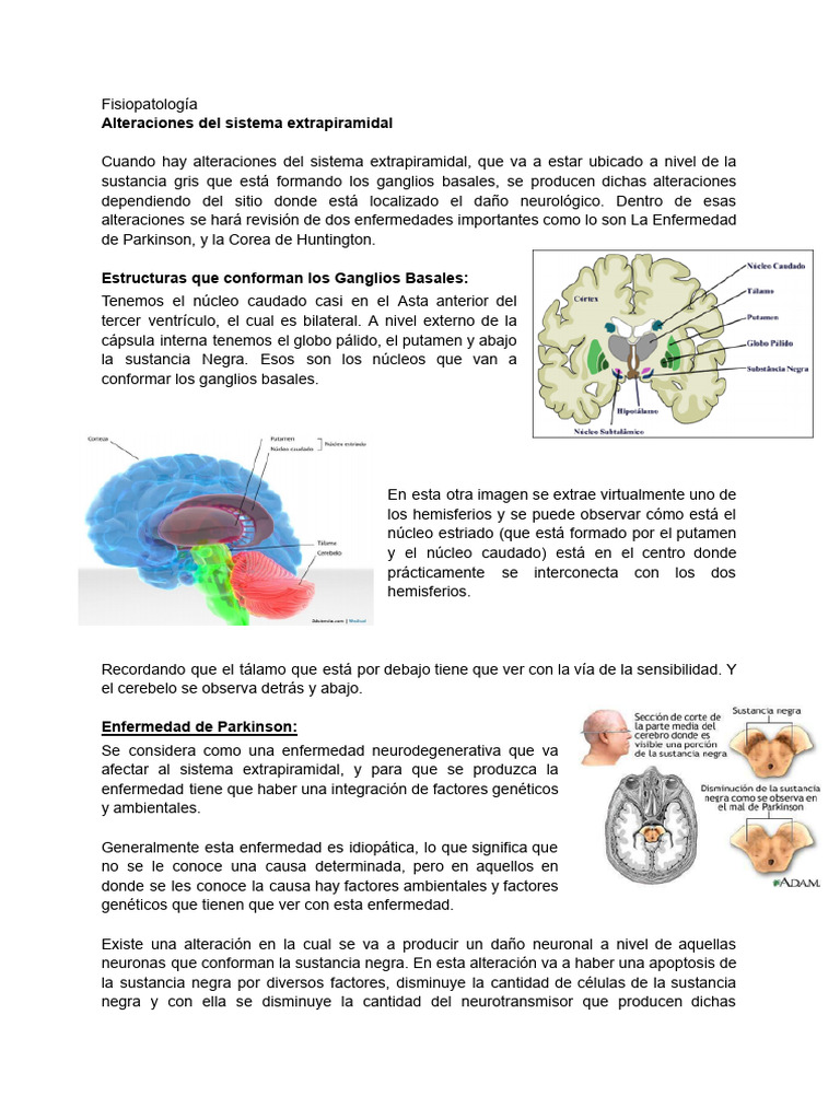 Alteraciones del sistema extrapiramidal | PDF | Ganglios basales ...