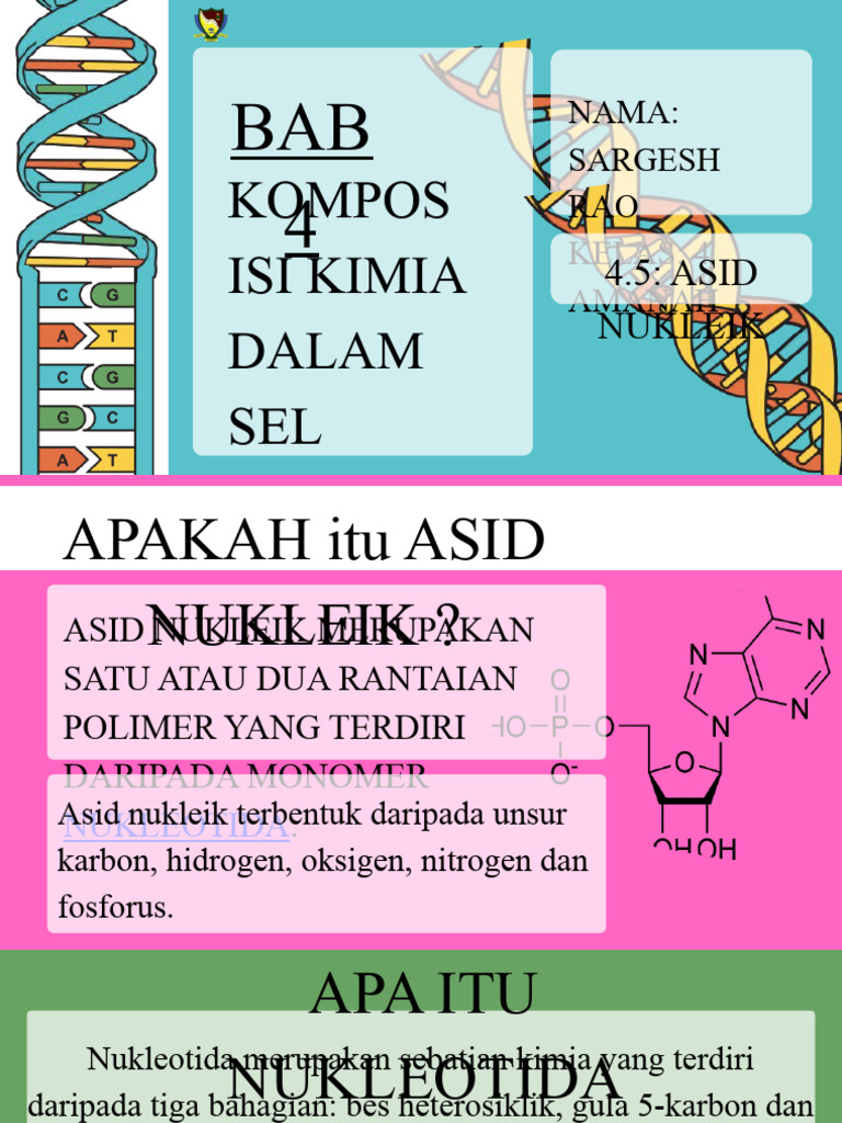 Asid Nukleik | PDF