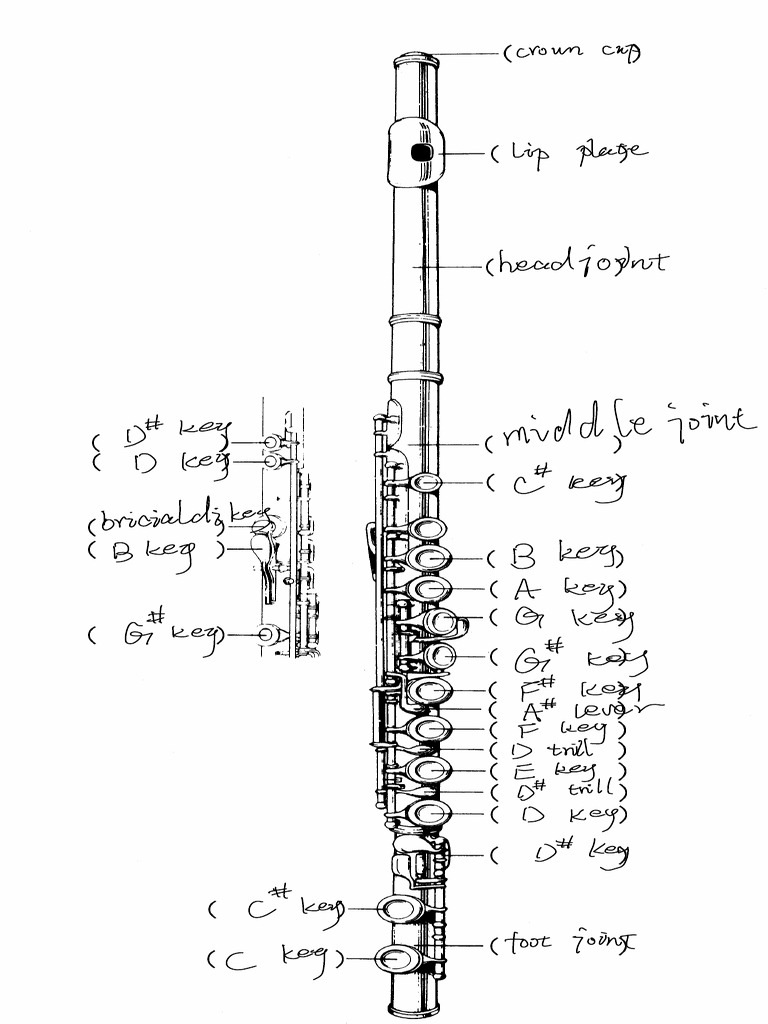 Flute. Key | PDF