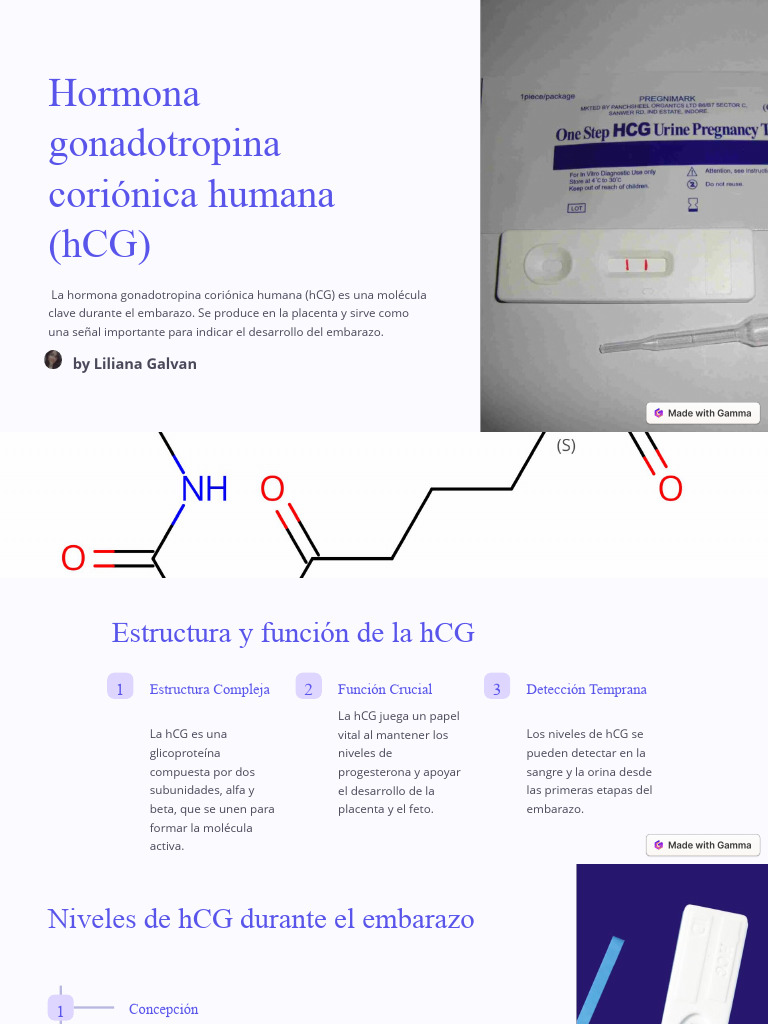 Hormona-gonadotropina-corionica-humana-hCG | PDF | Gonadotropina coriónica humana | Gonadotropina
