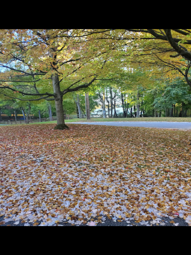 Wingfoot Lake State Park - Google Maps | PDF