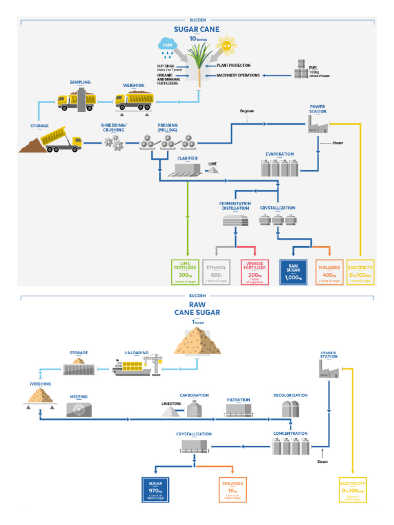 Sugar and Paper making process | PDF