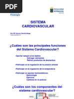 Función y Ubicación del Plexo Cardíaco | PDF