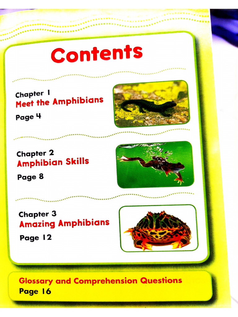 Amphibians | PDF