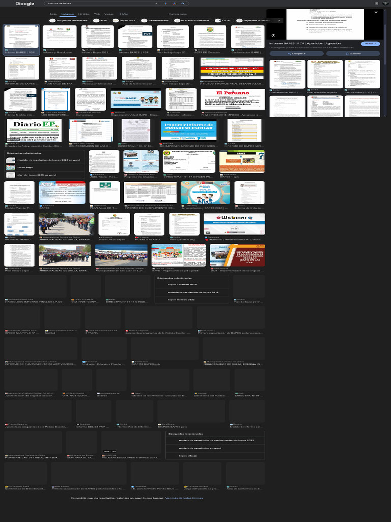 Informe de Bapes - Buscar Con Google | PDF | Scribd