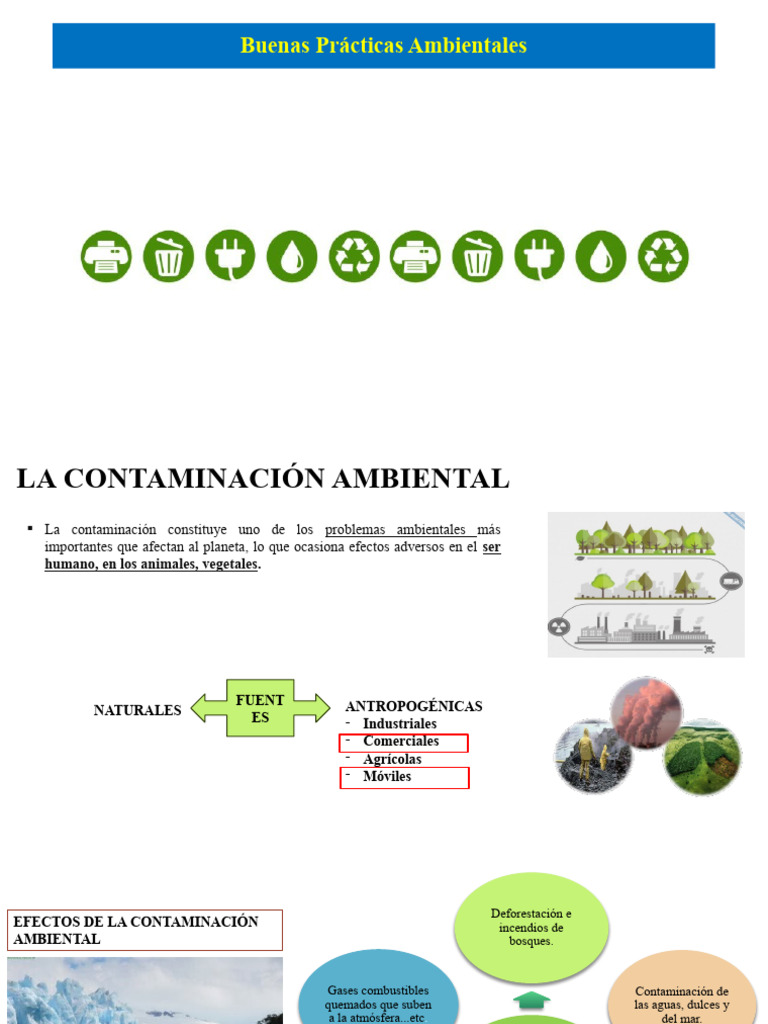 Buenas Practicas Ambientales | PDF | Contaminación | Entorno natural