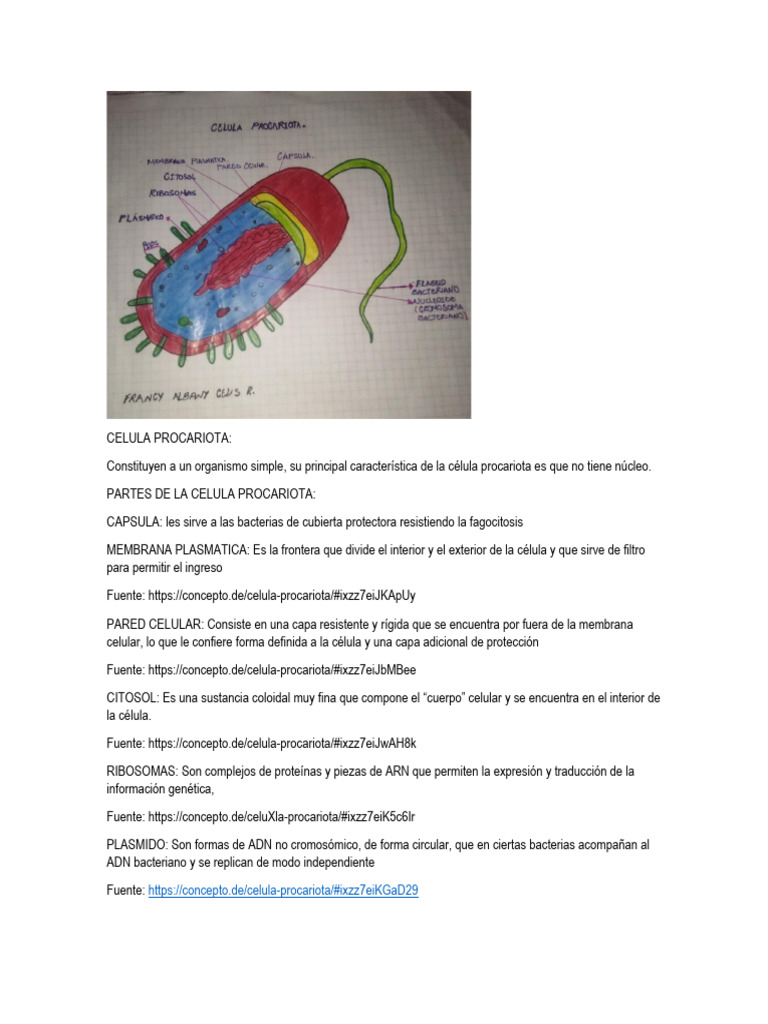 Celula Procariota | PDF | Biología Celular) | Citoplasma