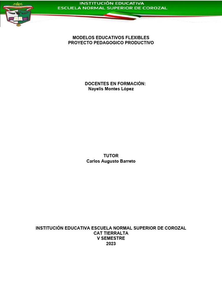 PPP Naye | PDF | Tejer