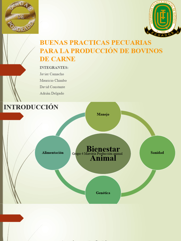 Buenas Practicas Pecuarias para La Producción de Bovinos | PDF | Animales domesticados | Biología